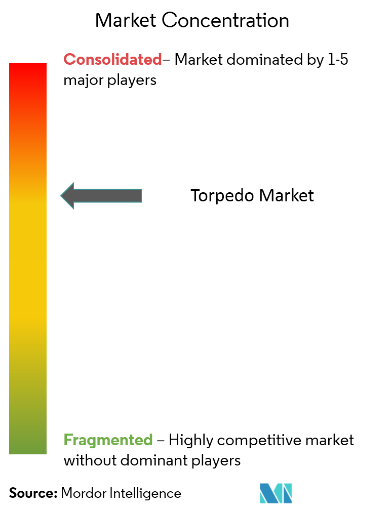 Torpedo Companies - Top Company List