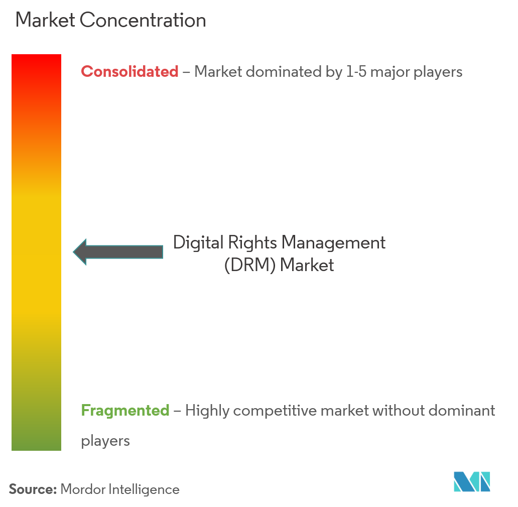 Digital Rights Management (DRM) Market | 2022 - 27 | Industry Share ...