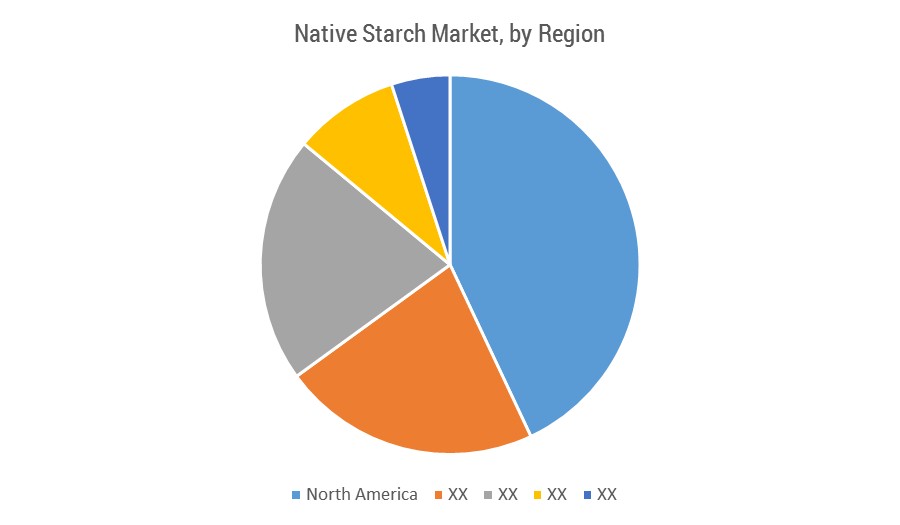 Native Starch Market Size, Share, Trends, Overview (2019-24)